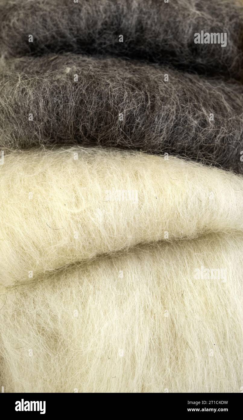Detail of fabric made from virgin sheep wool Stock Photo - Alamy