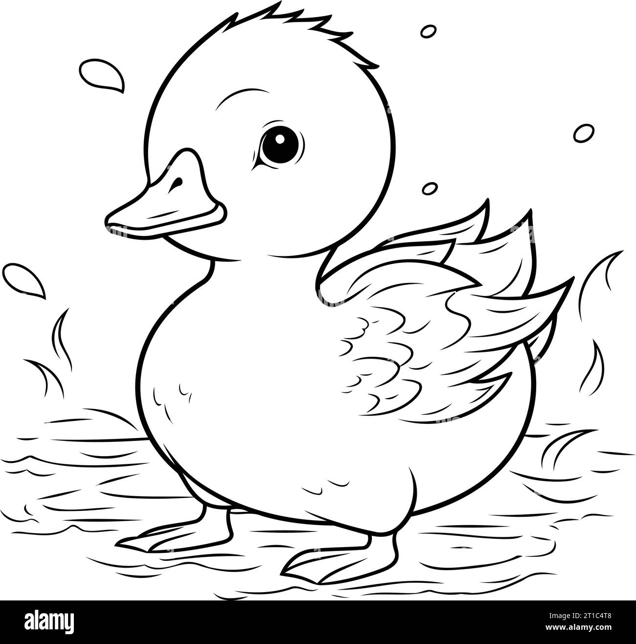 Mallard duck with duckling Black and White Stock Photos & Images - Alamy