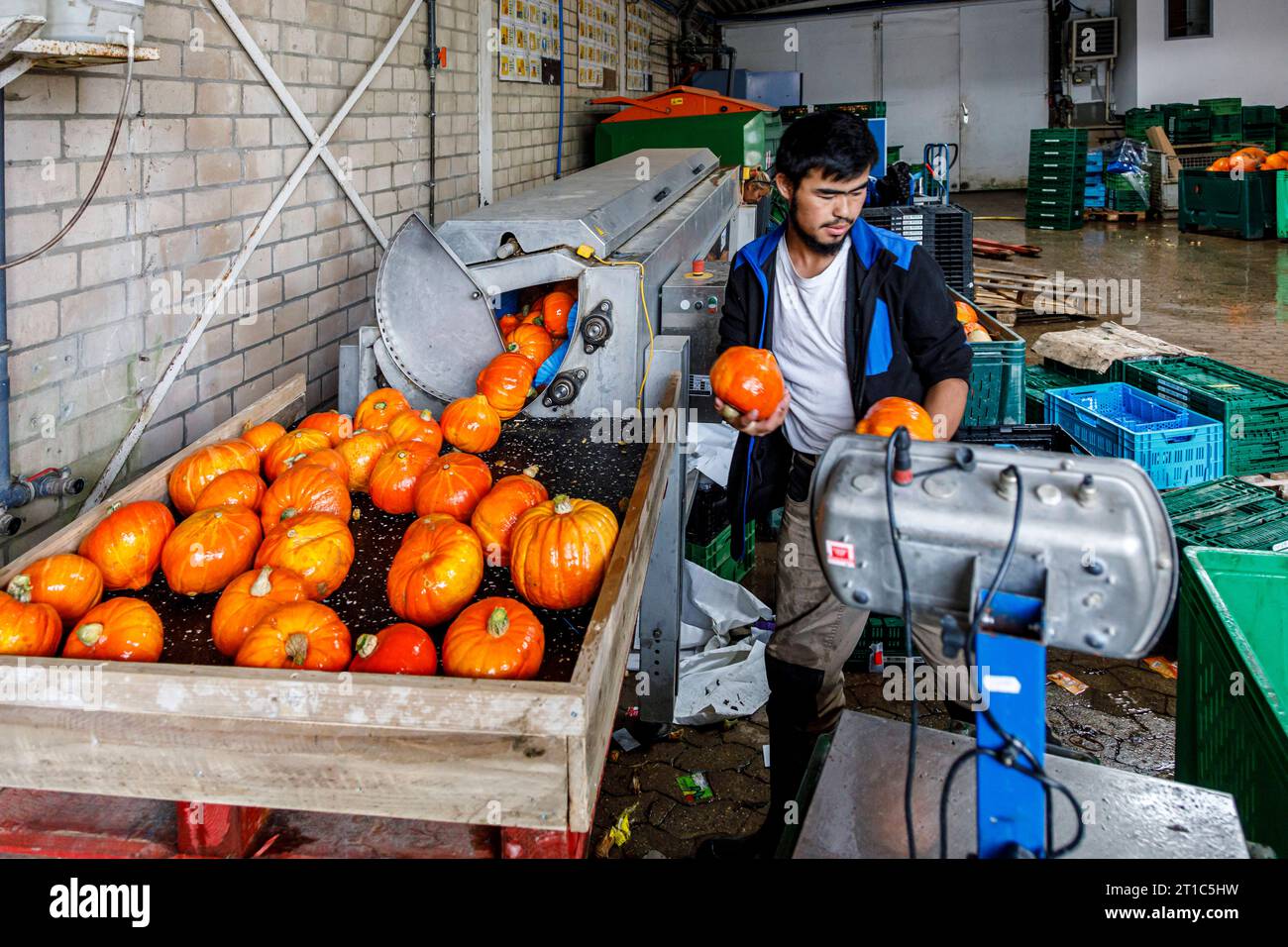 Bauer waschen hi-res stock photography and images - Alamy