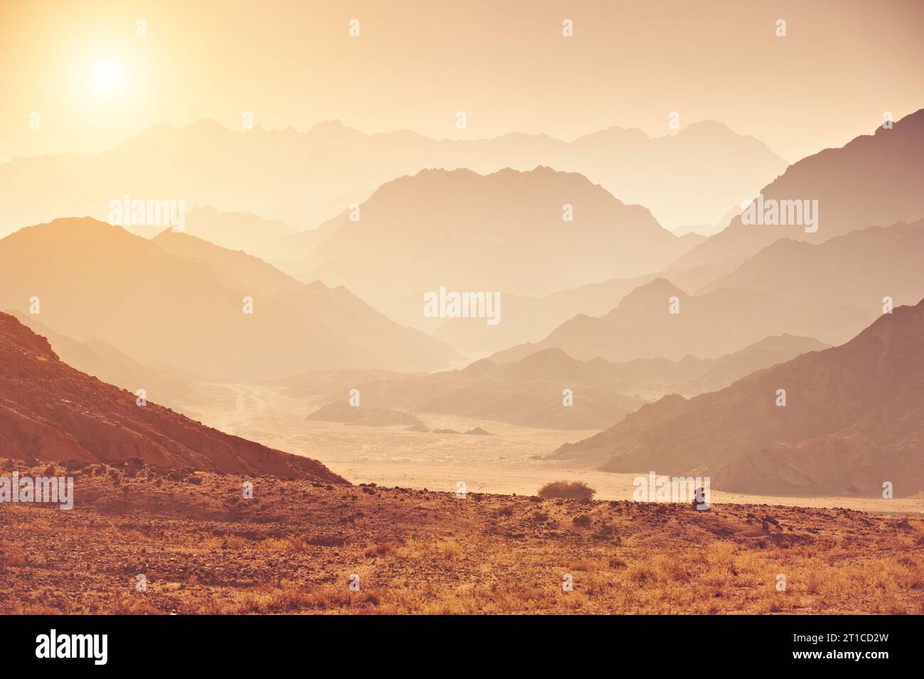 Valley in the desert with mountain rock and sun in the background Stock ...