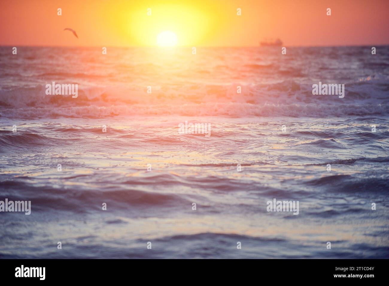 Gold sunset light hi-res stock photography and images - Alamy