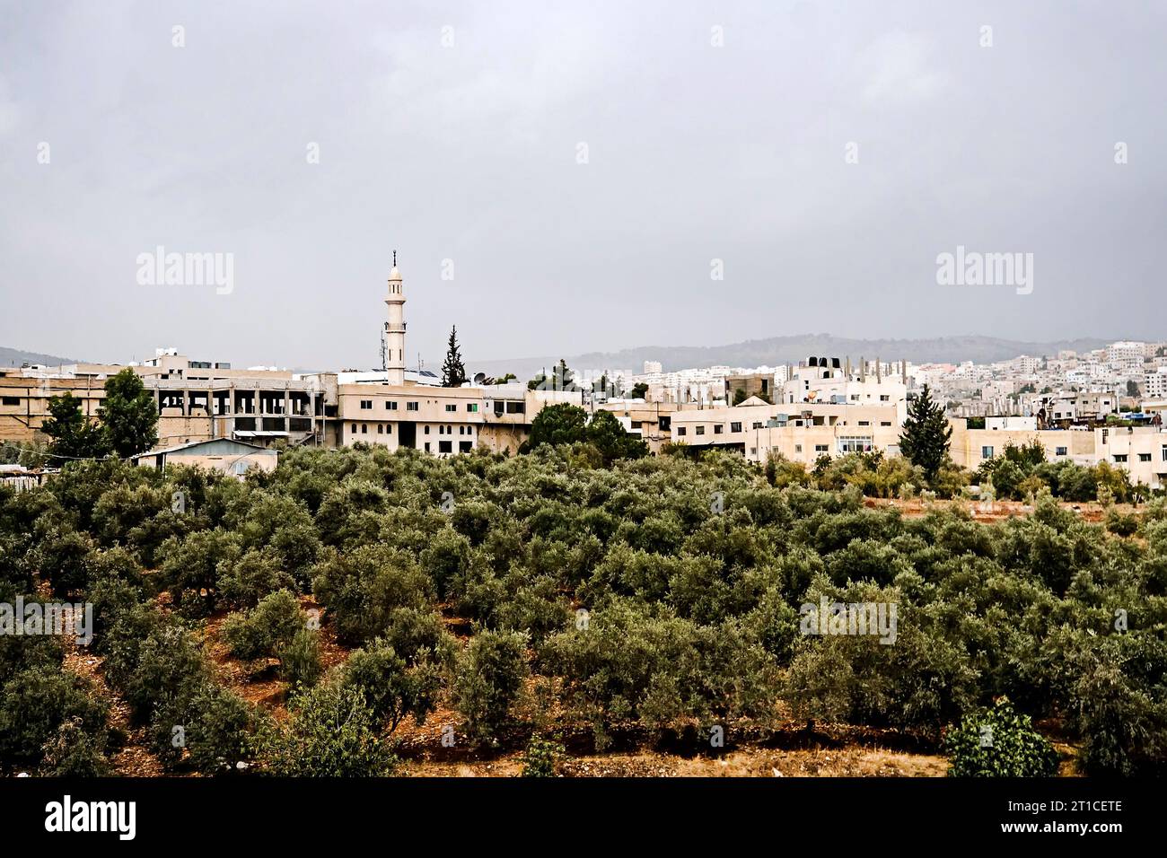 High Minaret at the Muslim mosque against the blue sky and the city on ...