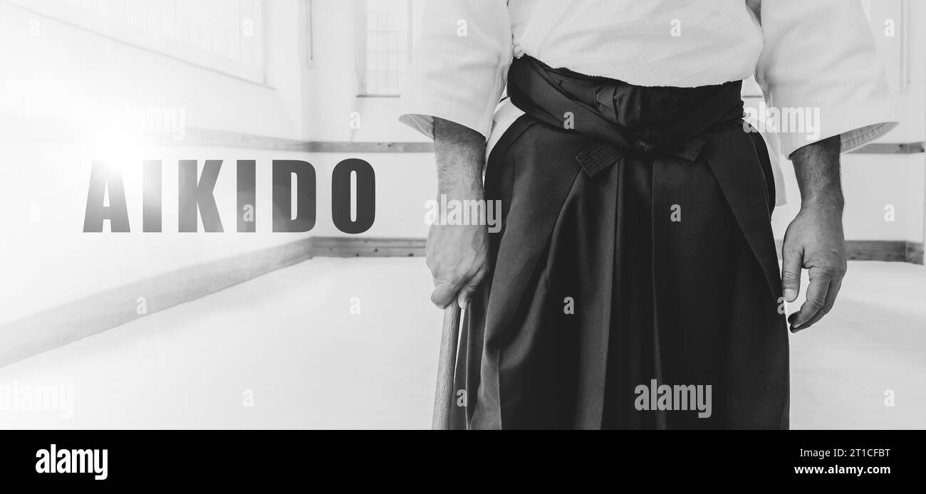 Man practicing aikido in a dojo background Stock Photo - Alamy
