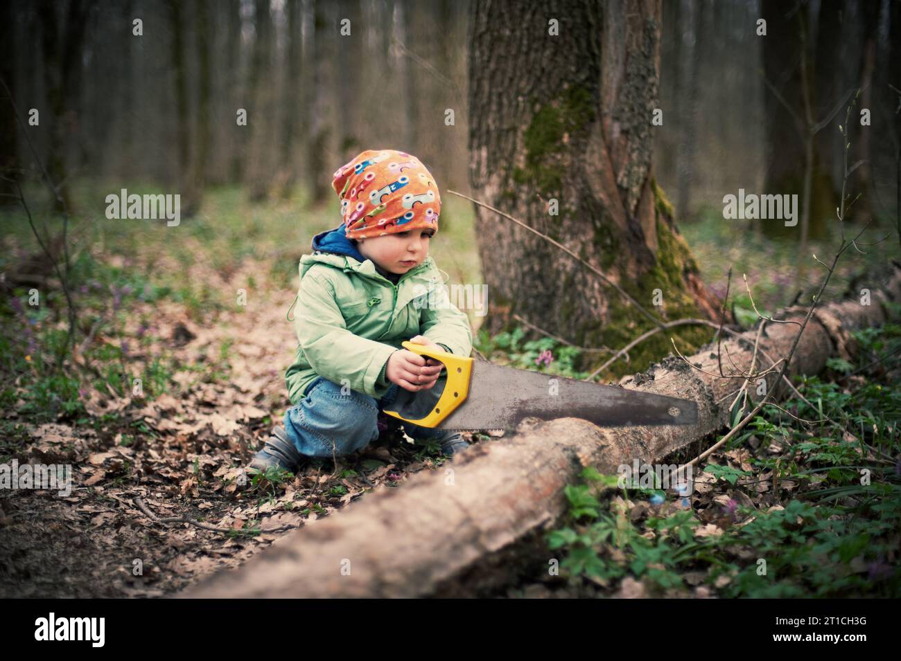 Sawing boy hi-res stock photography and images - Alamy