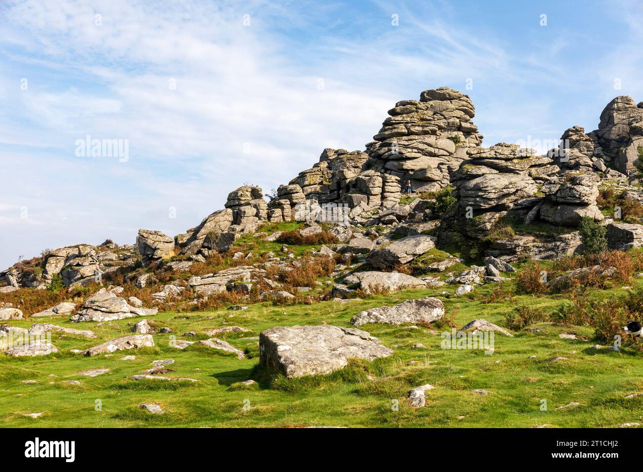 Hound Tor Dartmoor National Park in Devon, rock granite formation ...