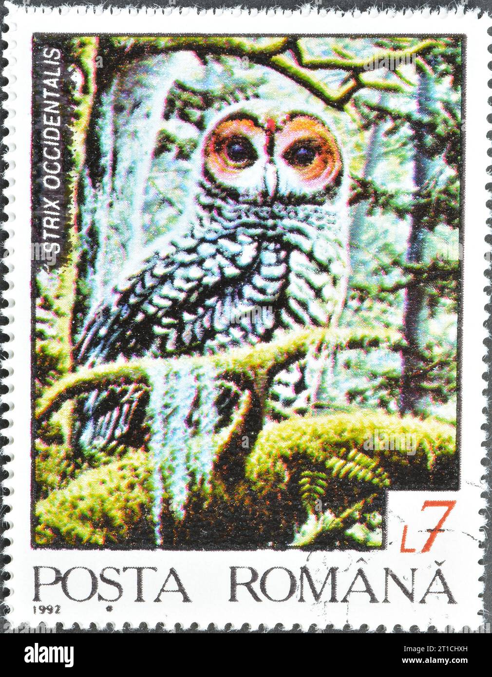 Cancelled postage stamp printed by Romania, that shows Spotted Owl ...