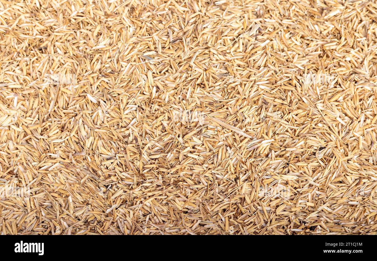 Rice husk texture as a background Stock Photo - Alamy