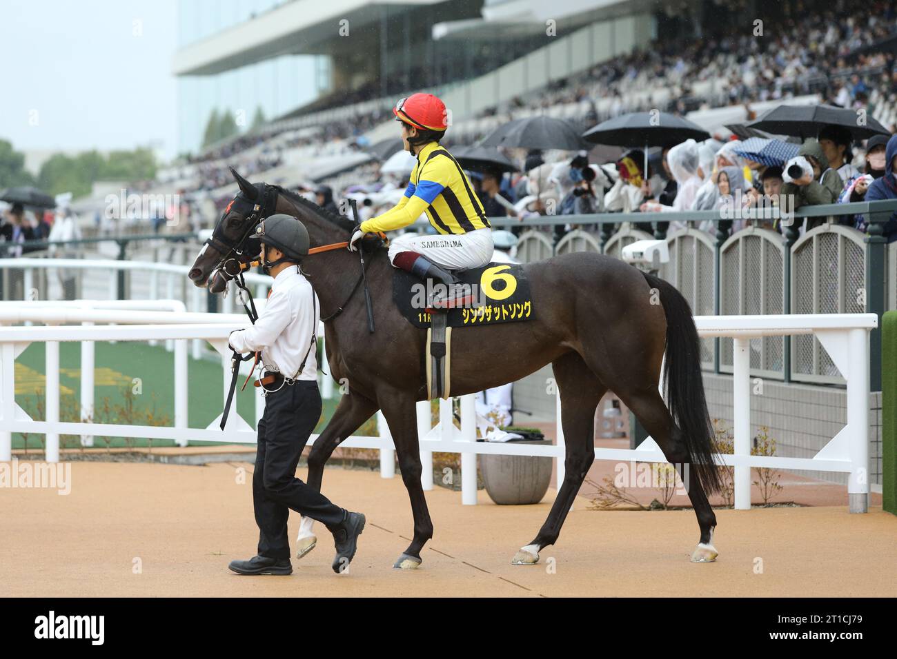 Kyoto, Japan. 8th Oct, 2023. 2023/10/08 KYOTO 11R YUKAN FUJI HAI OPAL ...