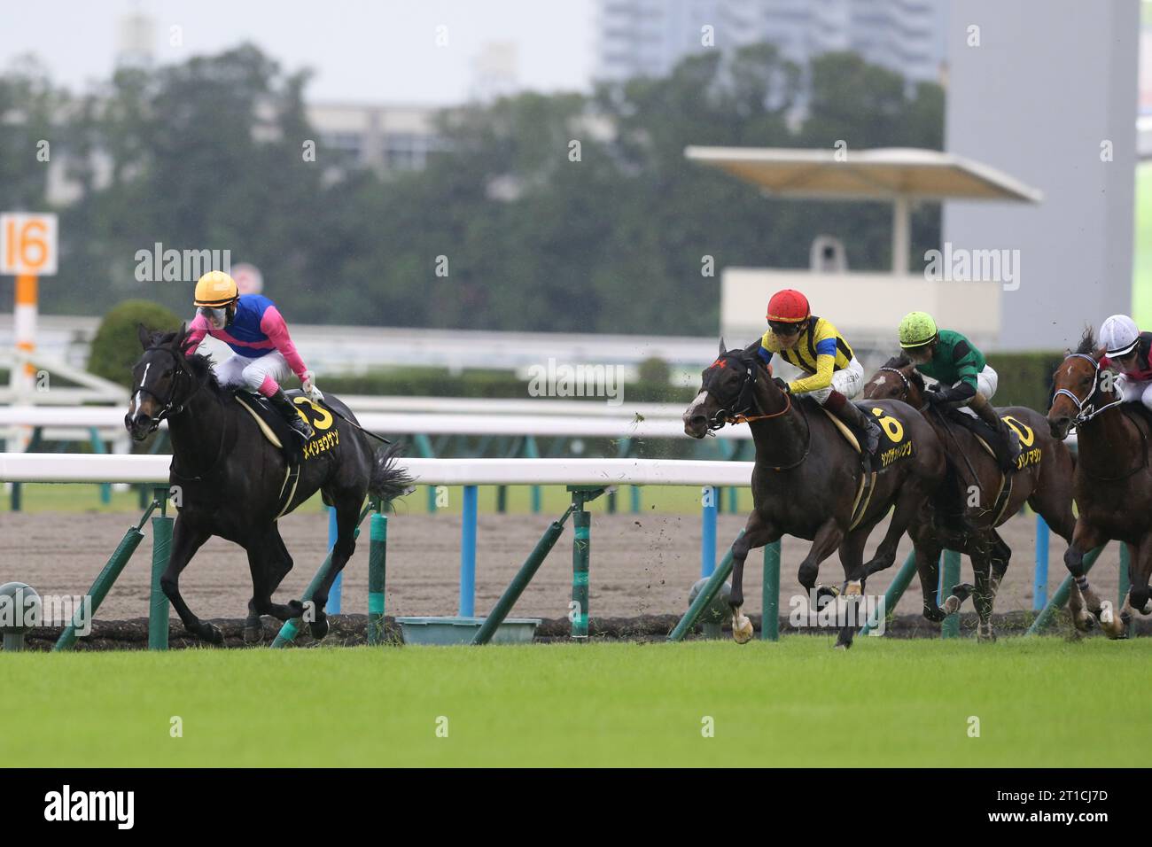 Kyoto, Japan. 8th Oct, 2023. 2023/10/08 KYOTO 11R YUKAN FUJI HAI OPAL ...