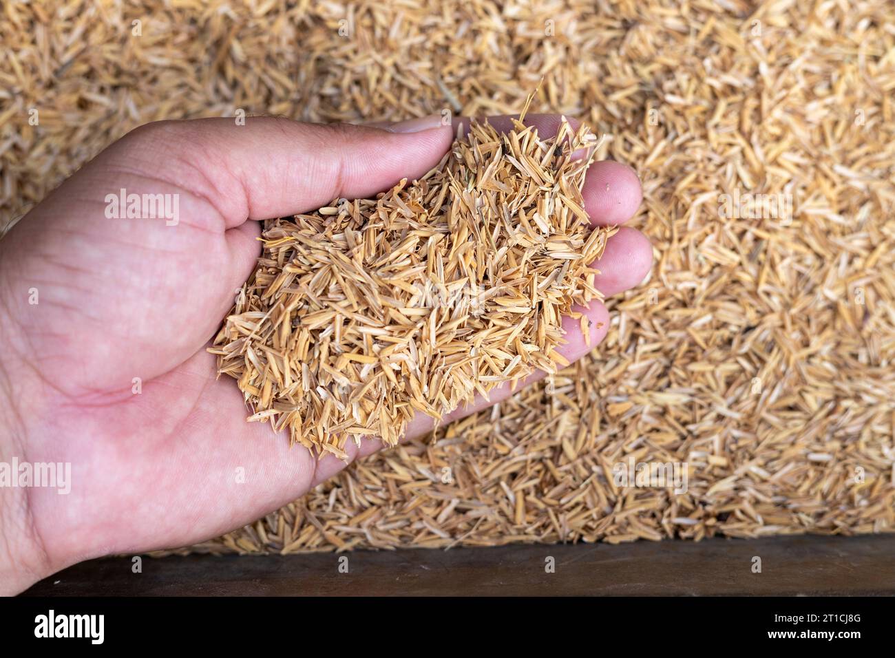 Rice hulk hi-res stock photography and images - Alamy