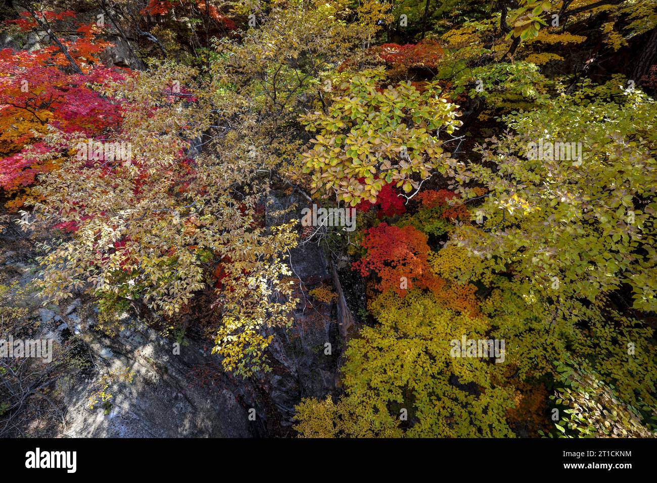 Autumn scenery of Huanren Maple Valley National Forest Park in Benxi ...