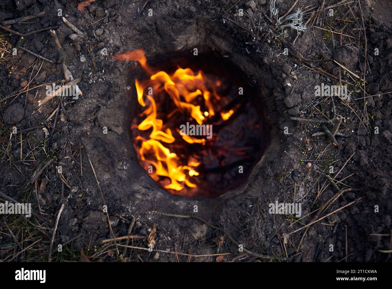 Survival of the wild hi-res stock photography and images - Alamy