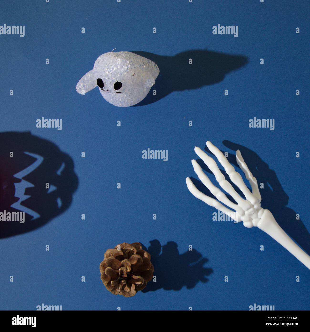 Ghost, pine cone and hand skeleton with shadows, with a shadow of ...