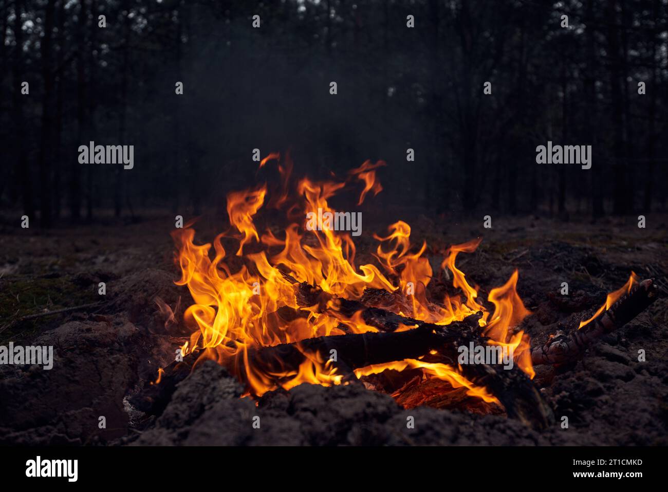 Bonfire in the forest hi-res stock photography and images - Alamy