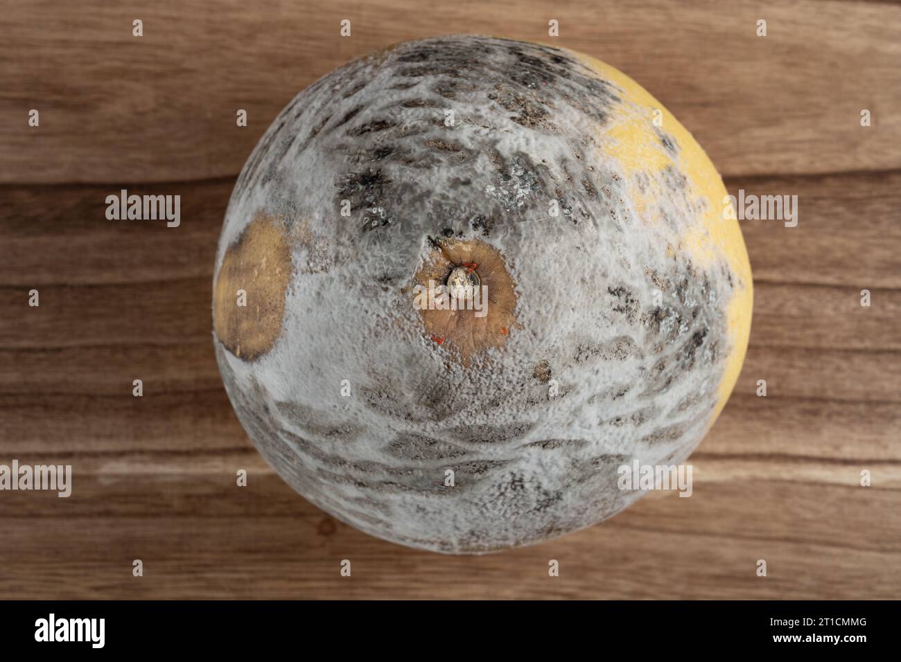 Top badly damaged hi-res stock photography and images - Alamy