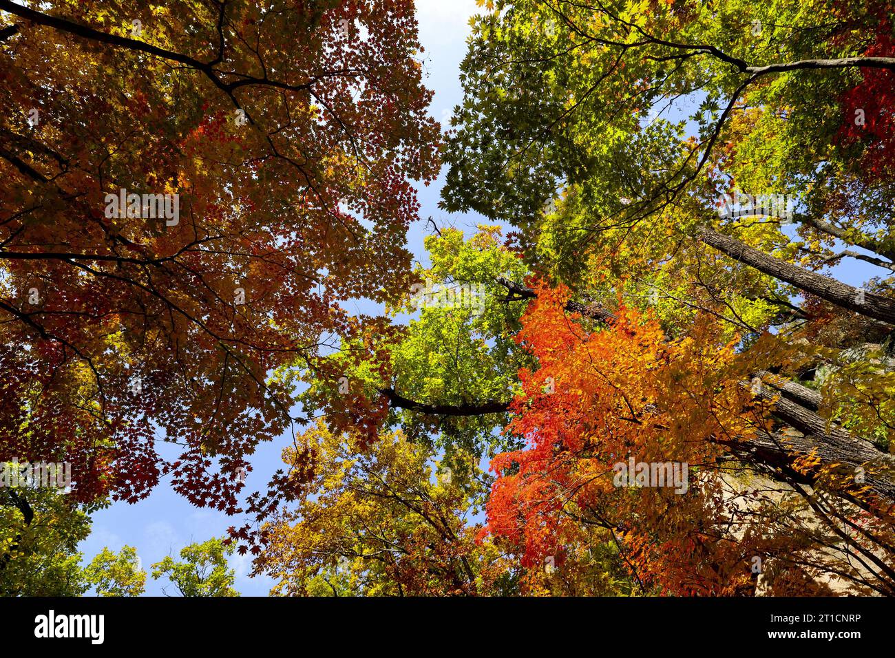 Autumn scenery of Huanren Maple Valley National Forest Park in Benxi ...