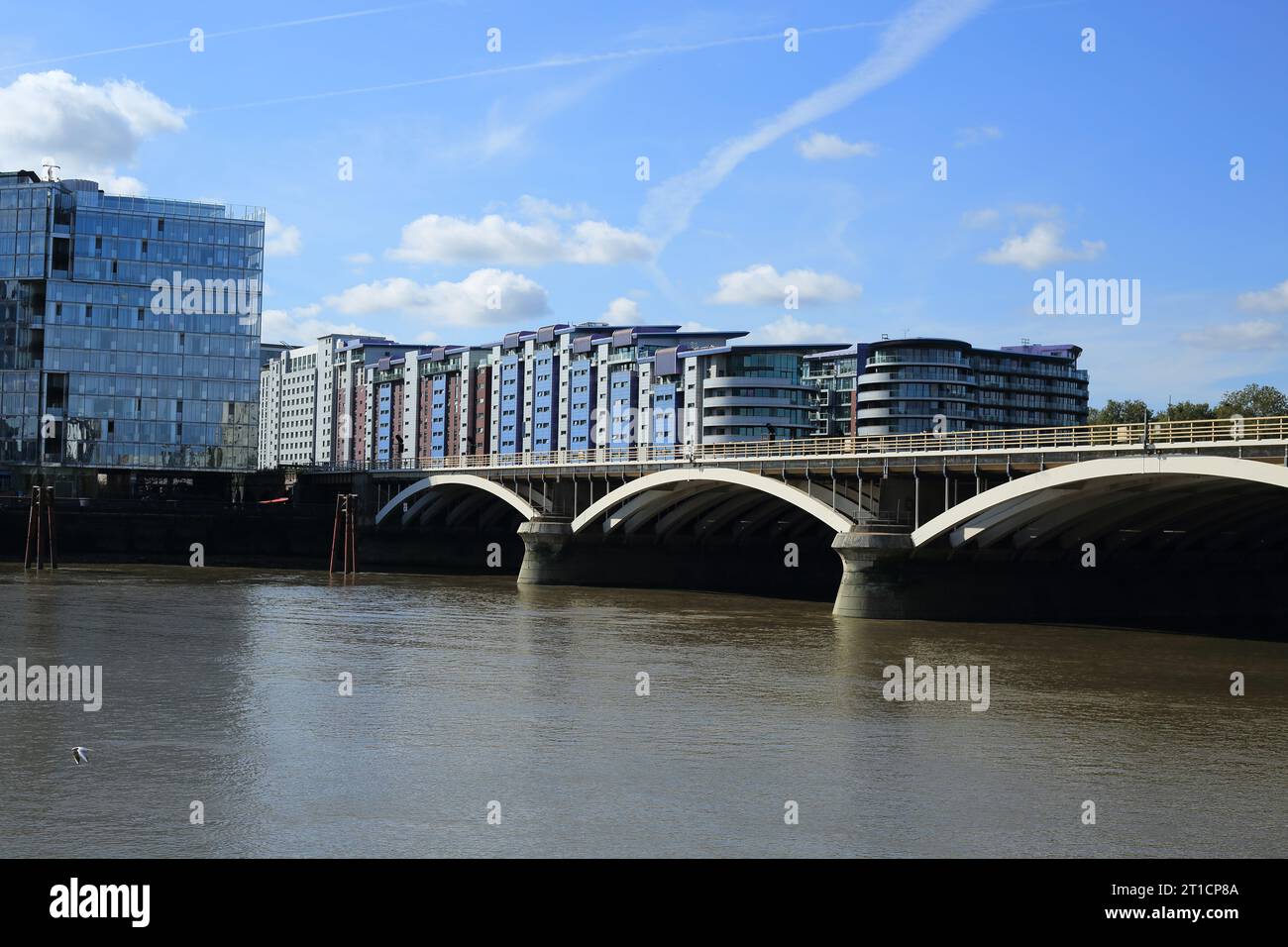 The Thames and Grosvenor Railway Bridge from Grosvenor Road, London ...