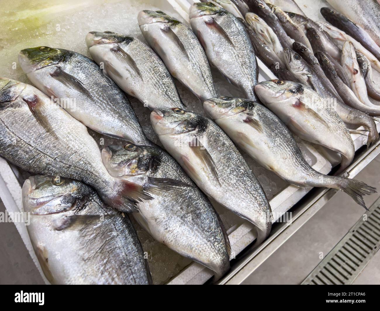 Top view of raw sea bream fish on ice on display at seafood fish market ...