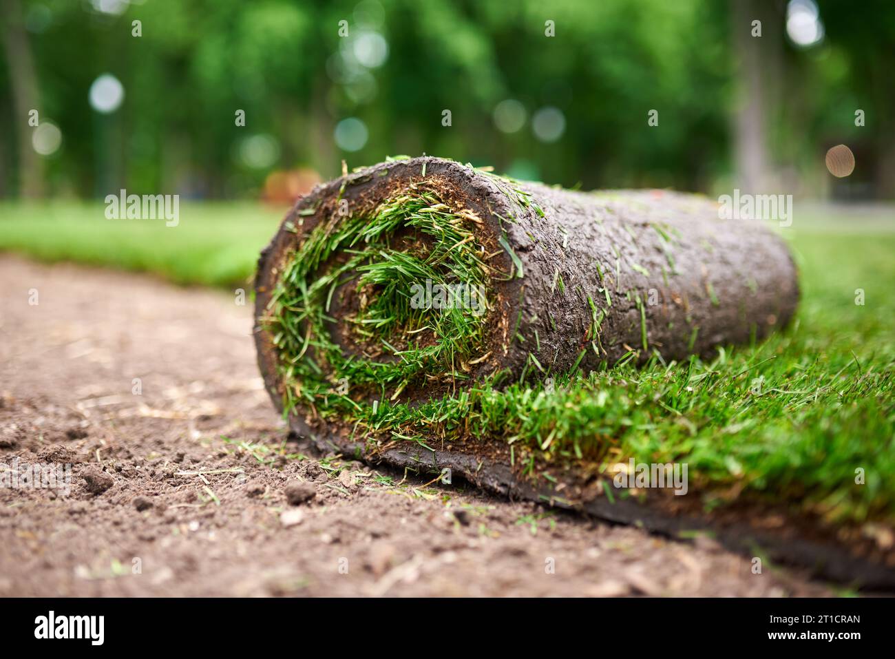 making new lawn using roll grass Stock Photo - Alamy