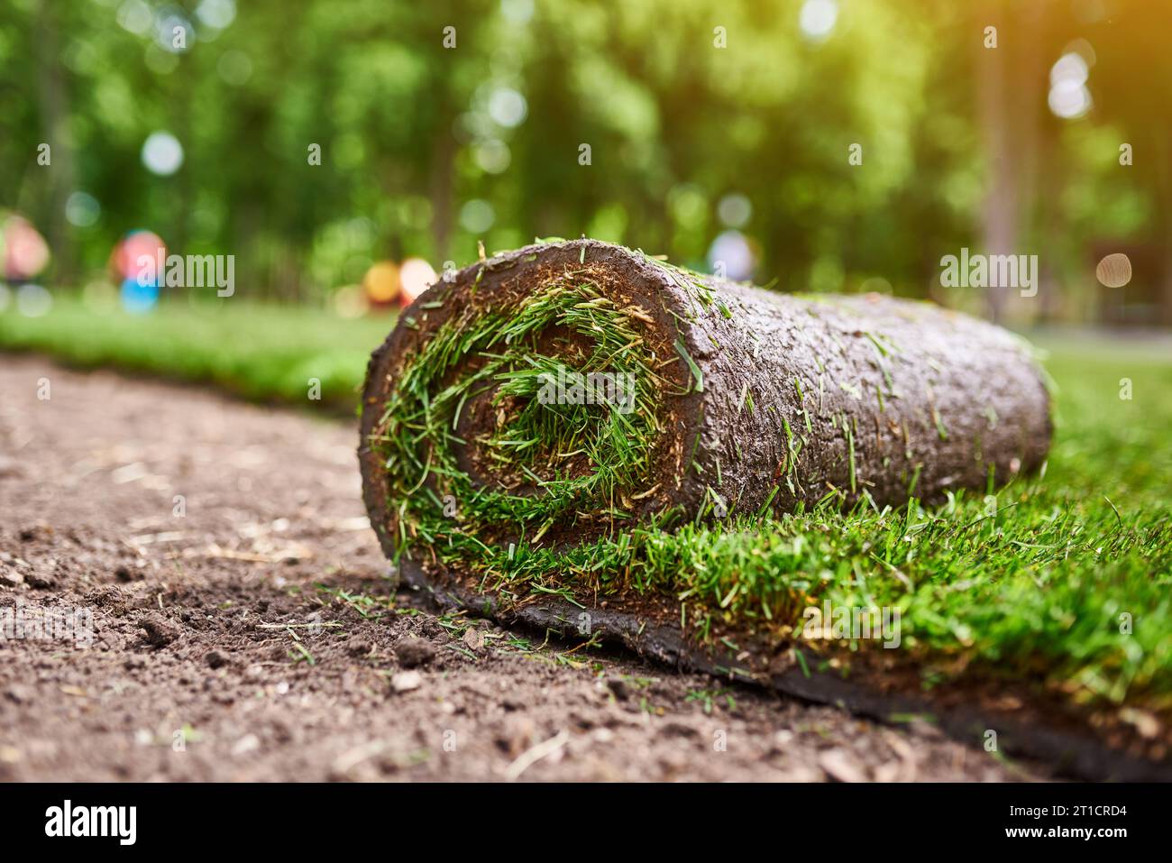 making new lawn using roll grass Stock Photo - Alamy