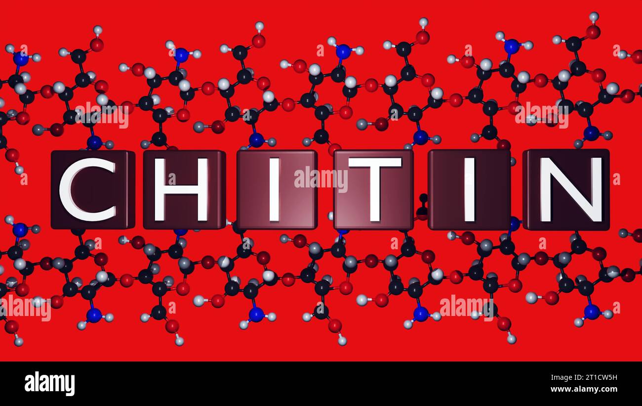 Chitin is a long-chain polymer of N-acetylglucosamine molecules from ...