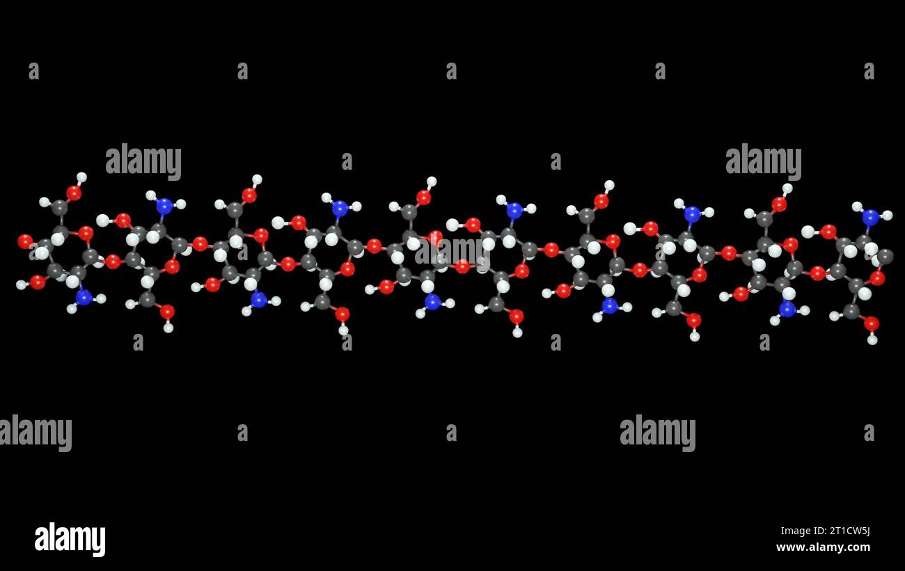 Chitin is a long-chain polymer of N-acetylglucosamine molecules from ...