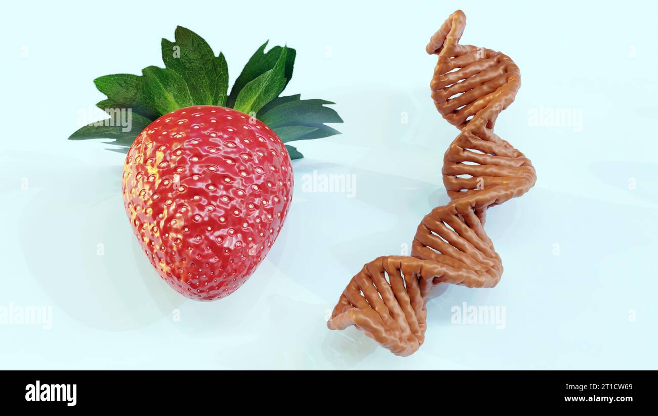 Ripe strawberry and DNA helix. Genetically Modified Strawberries 3d ...