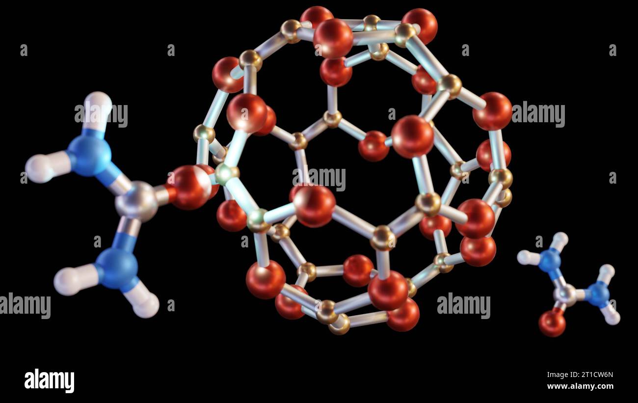 Interaction of B24N24 Nano-Cages with urea molecules 3d rendering Stock ...