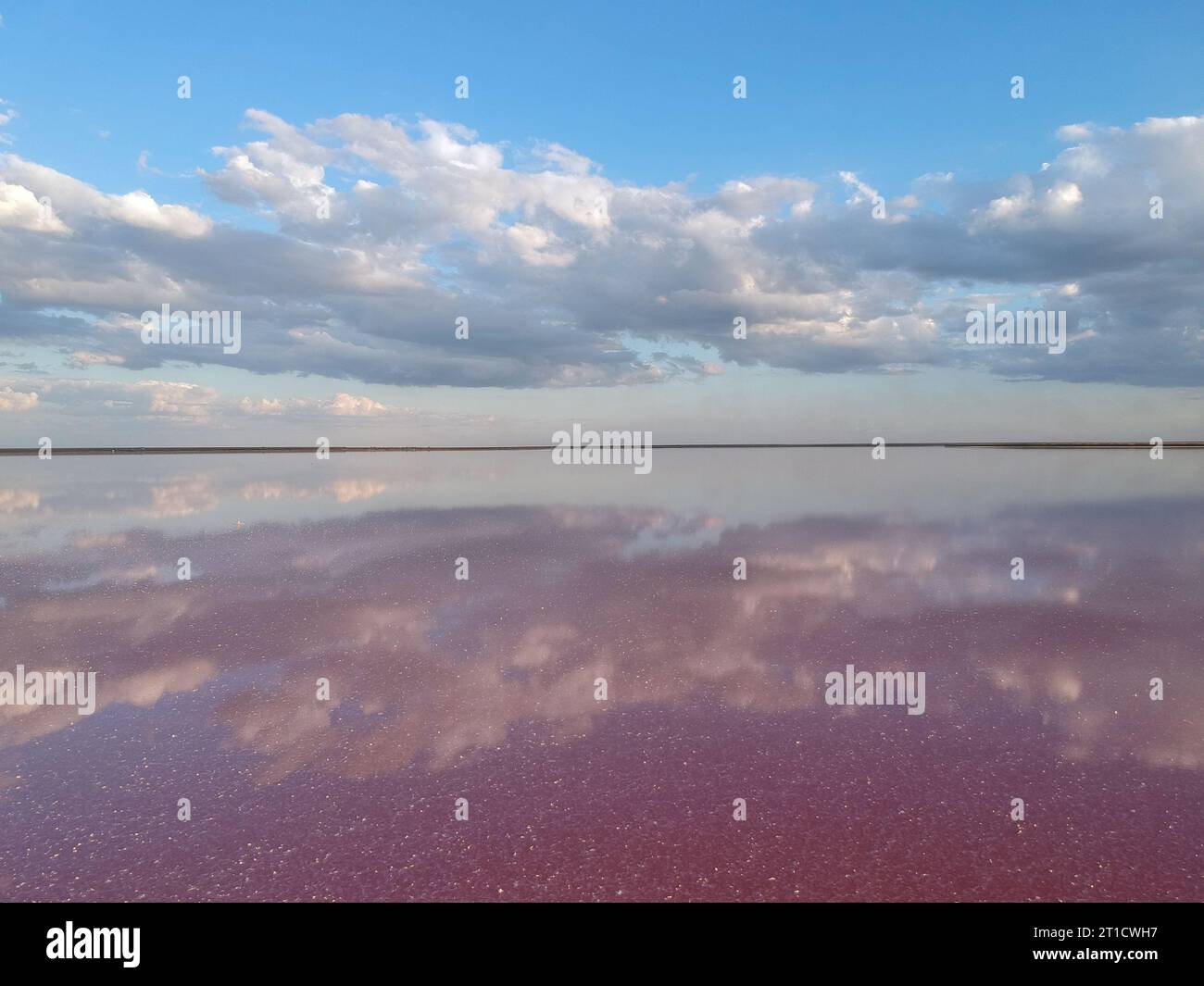 Aerial view of a pink salt lake. Azov Ukraine. Drone photo Stock Photo ...