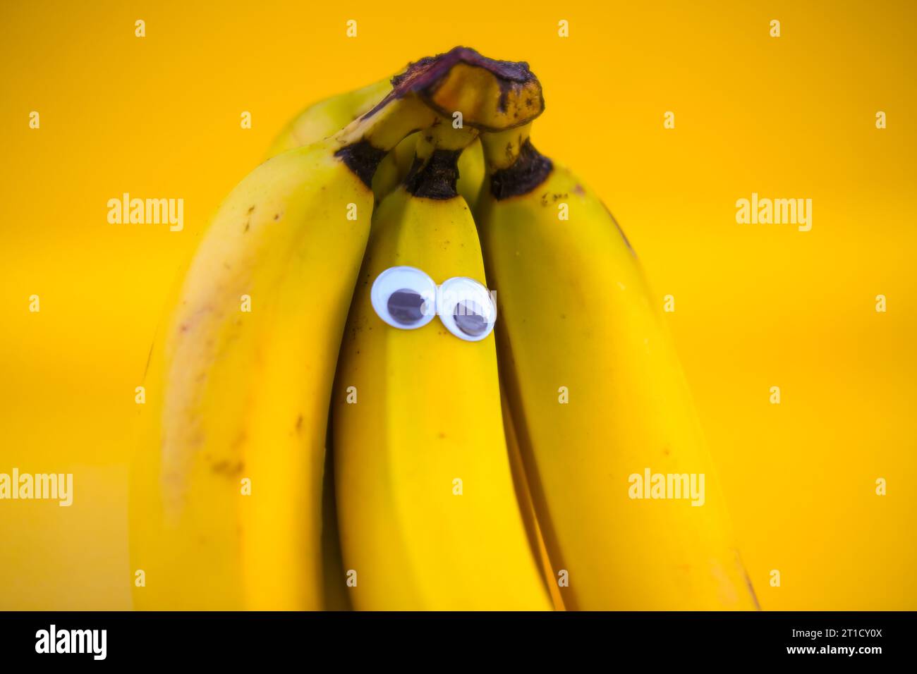 Bananas on a string, yellow background, funny bananas with eyes Stock ...