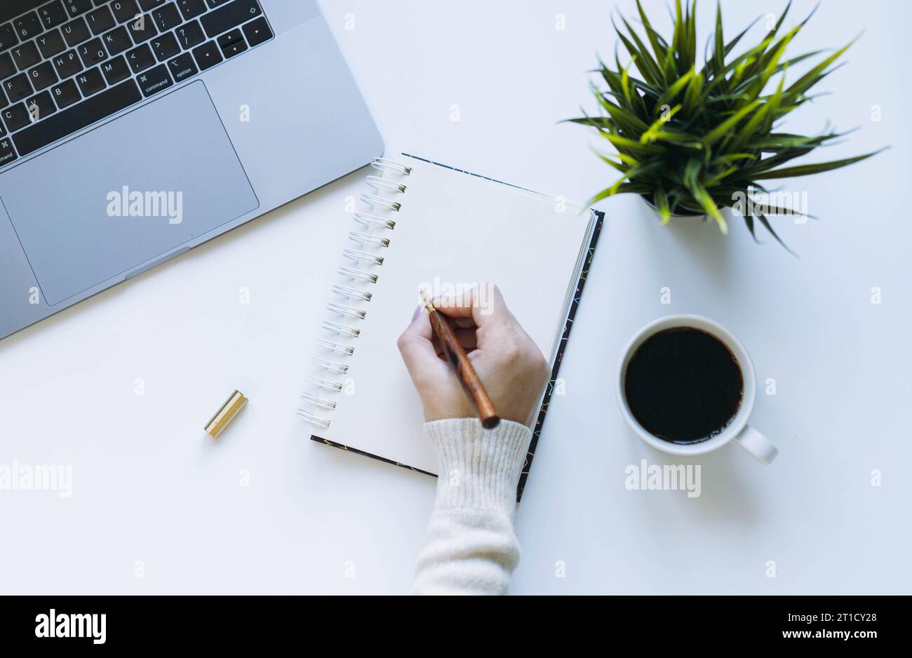 open notepad and woman hand writing new year resolutions. Flower ...