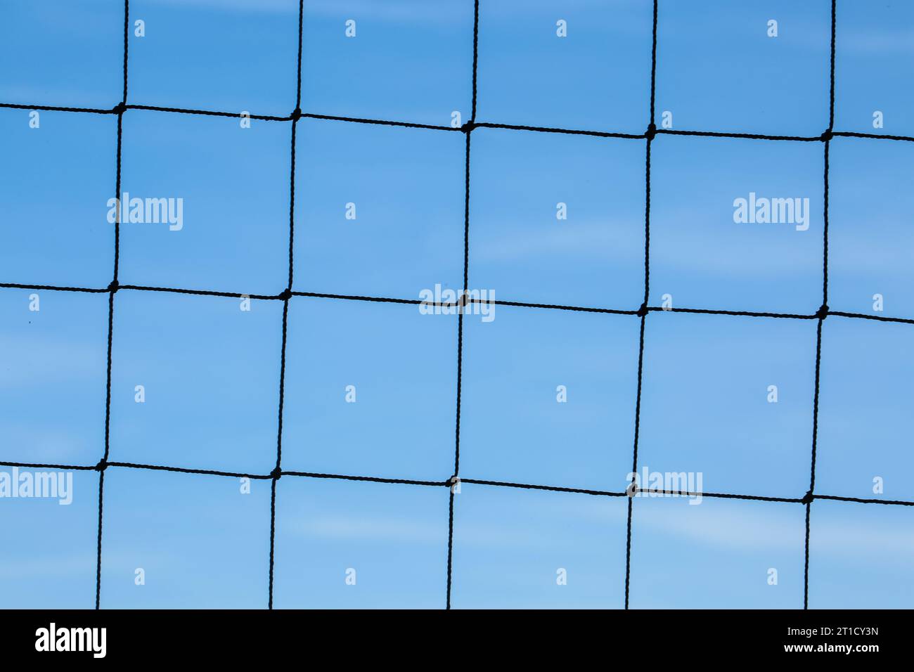 Pigeon deterrent net, pigeon protection Stock Photo - Alamy