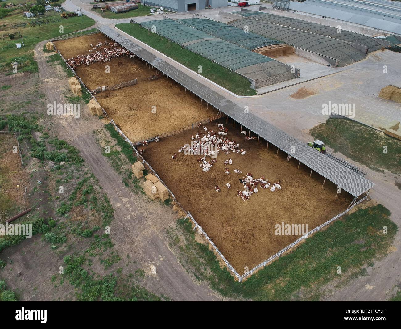 Aerial view of corral full of cattle. Drone photography Stock Photo - Alamy