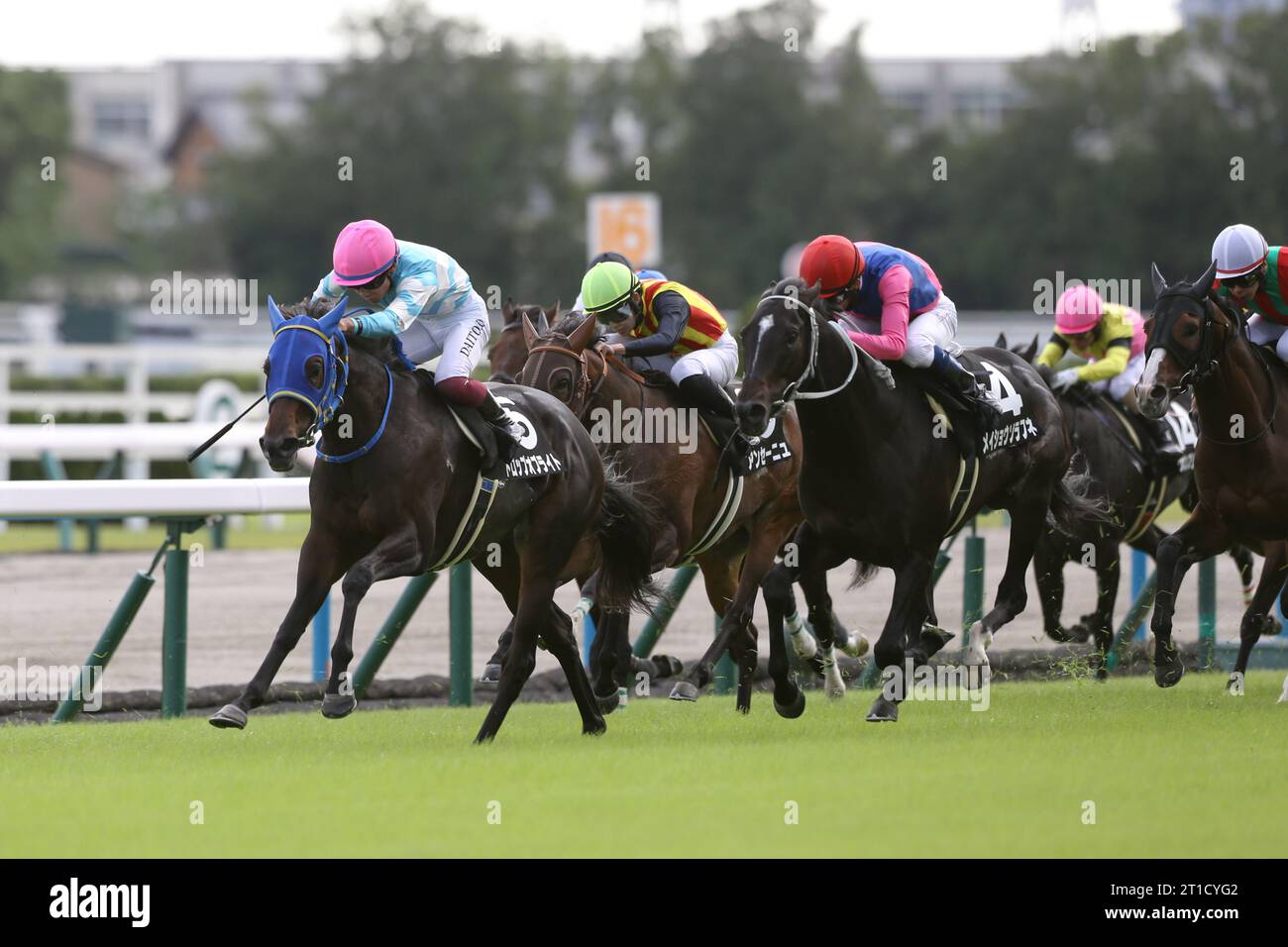Kyoto Racecourse in Kyoto, Japan, October 7, 2023. (Photo by Eiichi ...