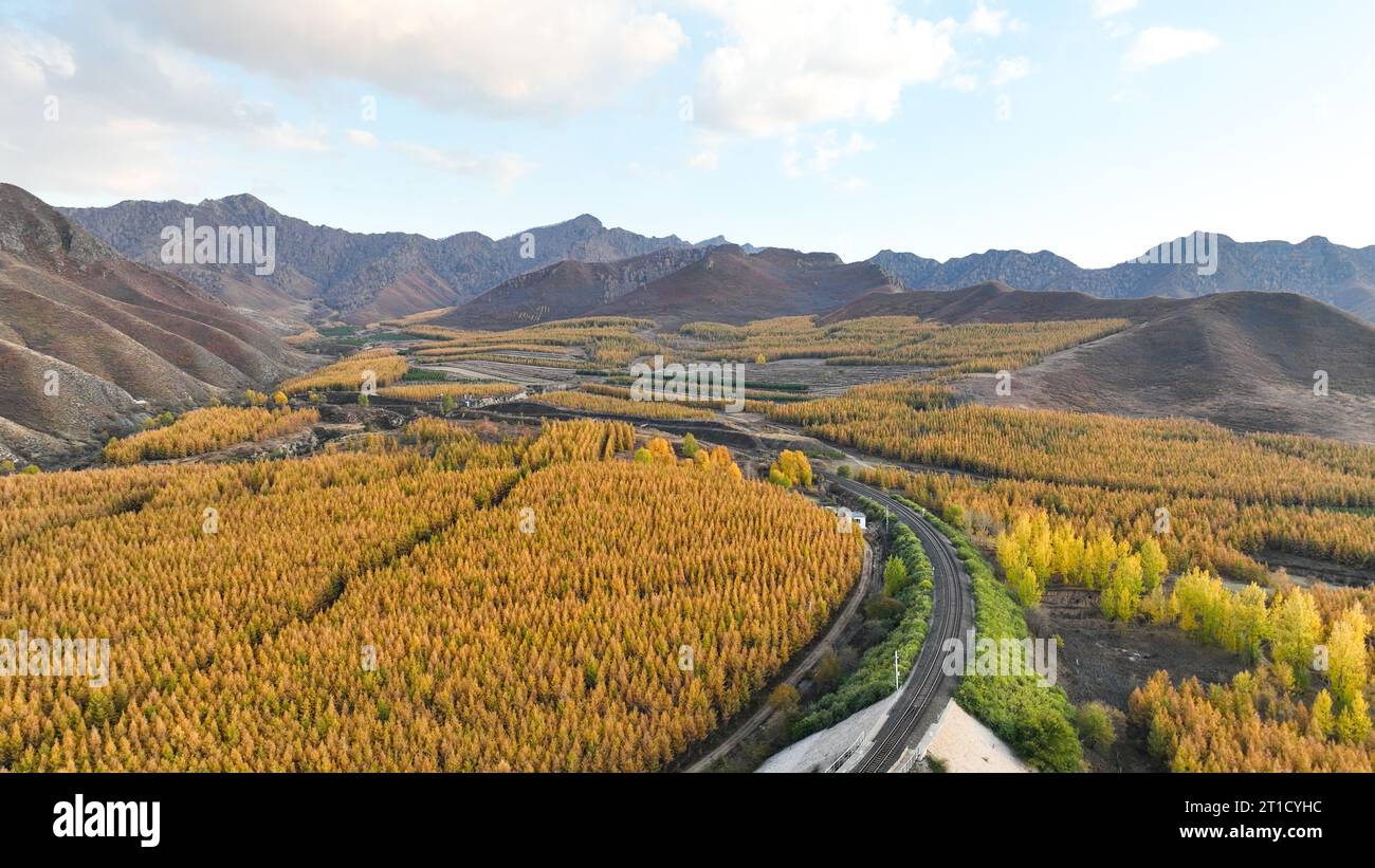 Chifeng. 12th Oct, 2023. This aerial photo taken on Oct. 12, 2023 shows ...