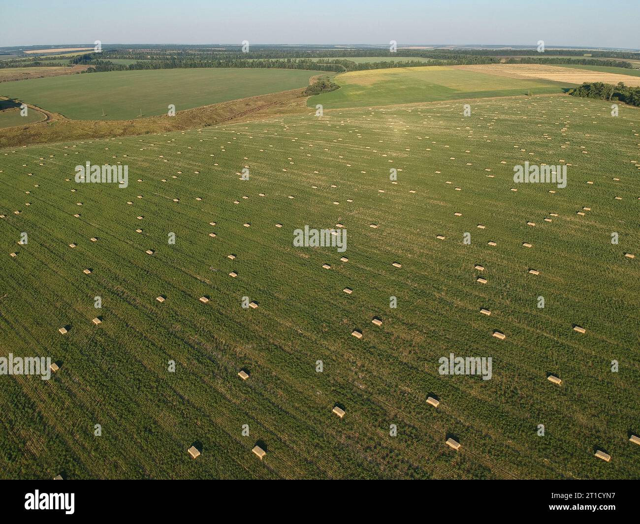 Overgrown hay field hi-res stock photography and images - Alamy