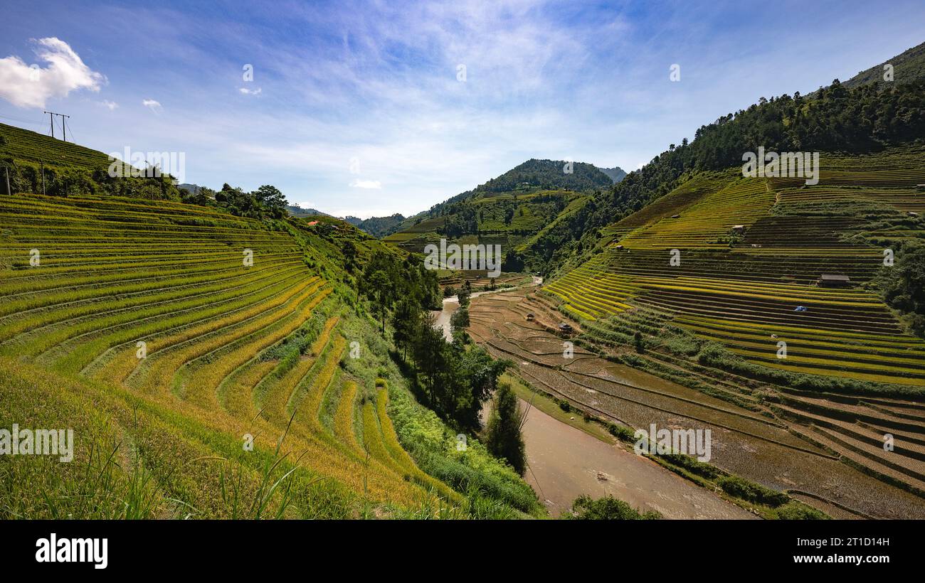 Landscape with green and yellow rice terraced fields and blue cloudy ...