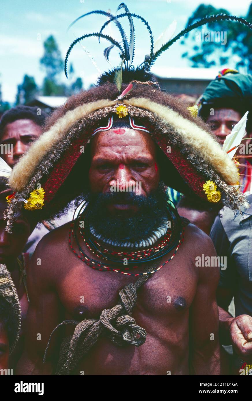 Tribal tribesman tribesmen man men papua new guinea png hi-res stock ...