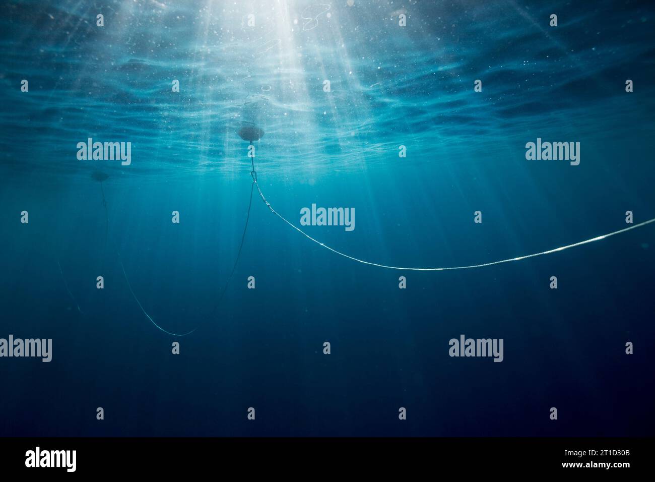 Float line hi-res stock photography and images - Alamy