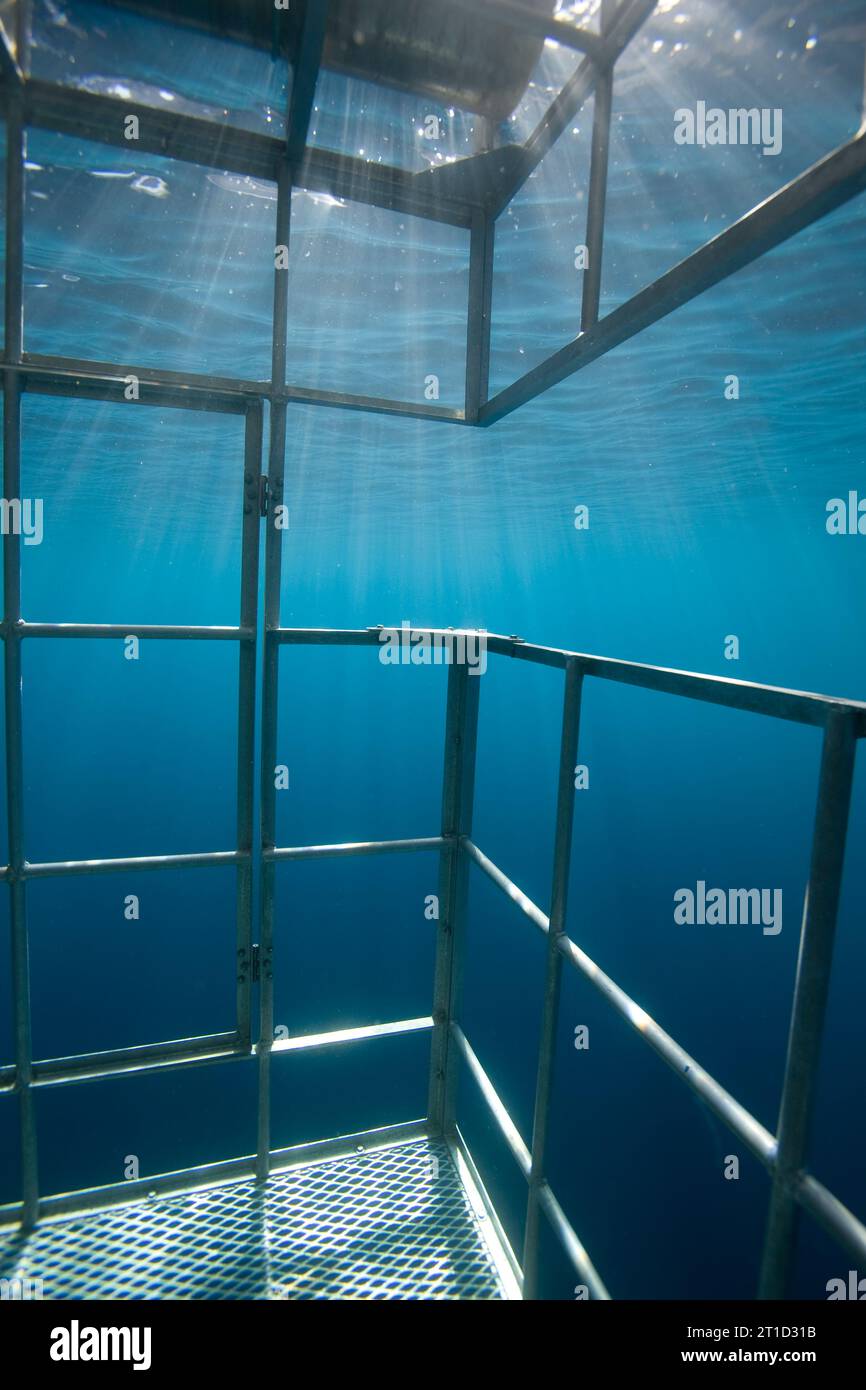 Empty cage hi-res stock photography and images - Alamy