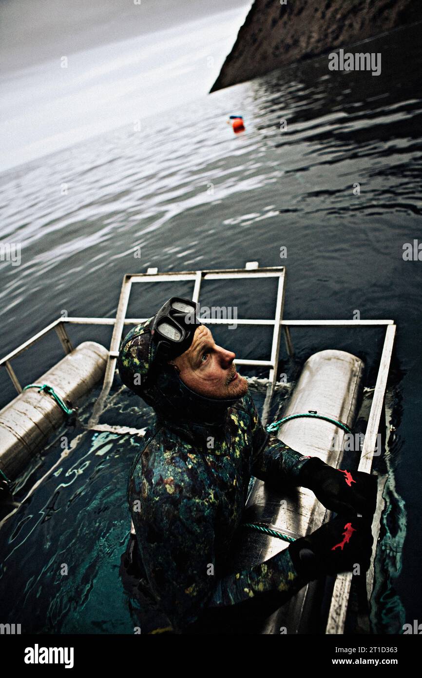 SHARK CAGE DIVER Stock Photo - Alamy