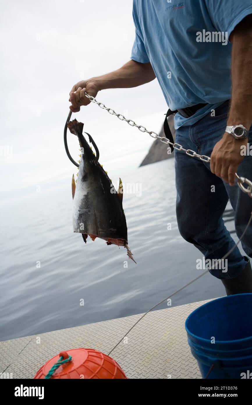 Shark bait hi-res stock photography and images - Alamy