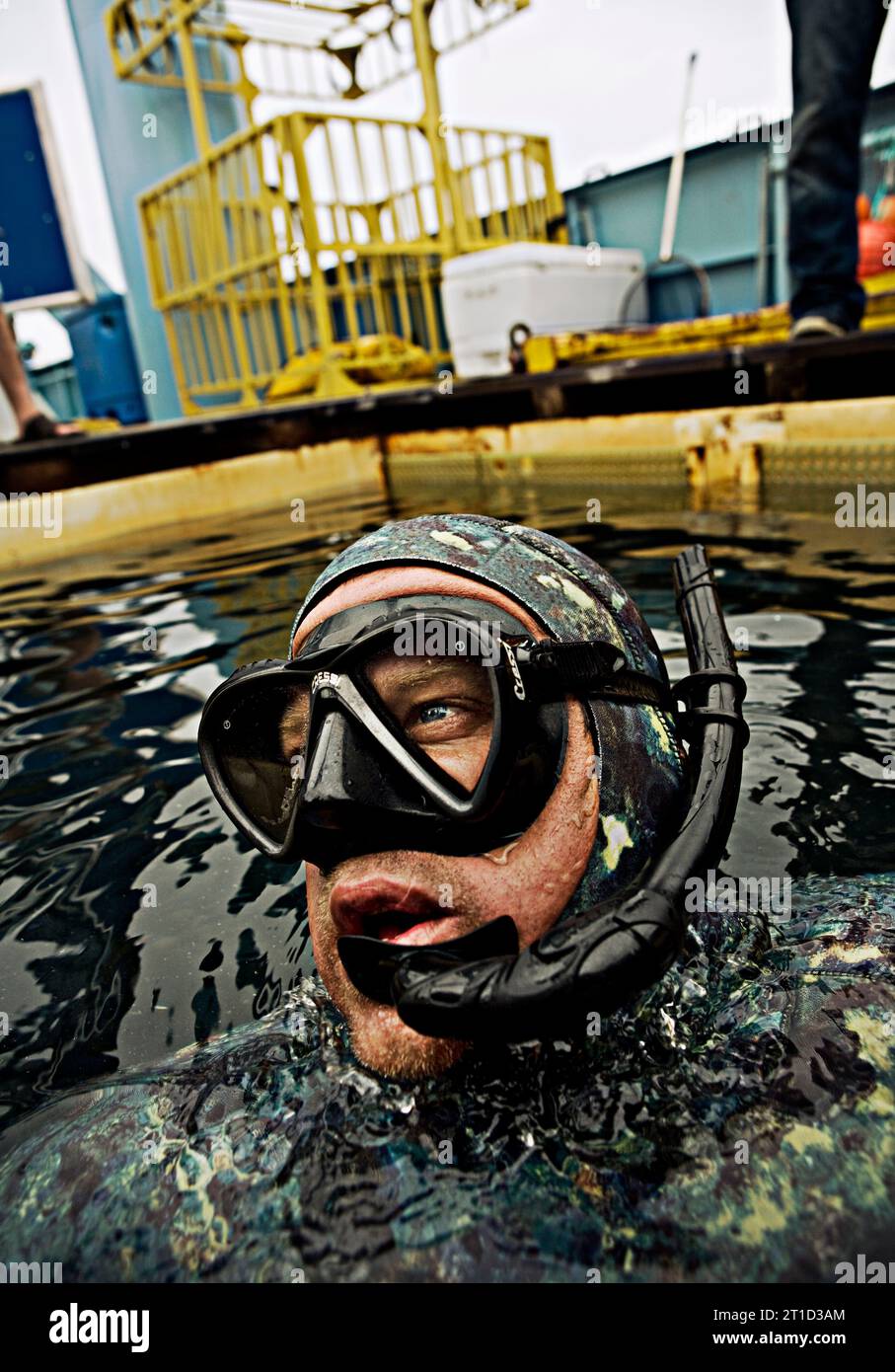Diver in shark cage hi-res stock photography and images - Alamy