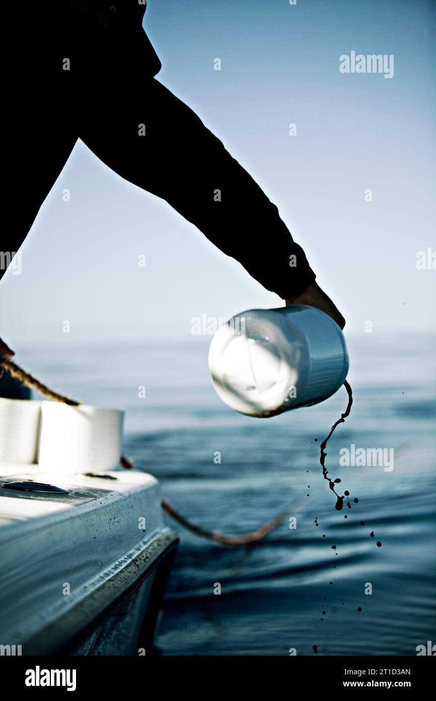 chumming with beef blood for great white shark Stock Photo - Alamy