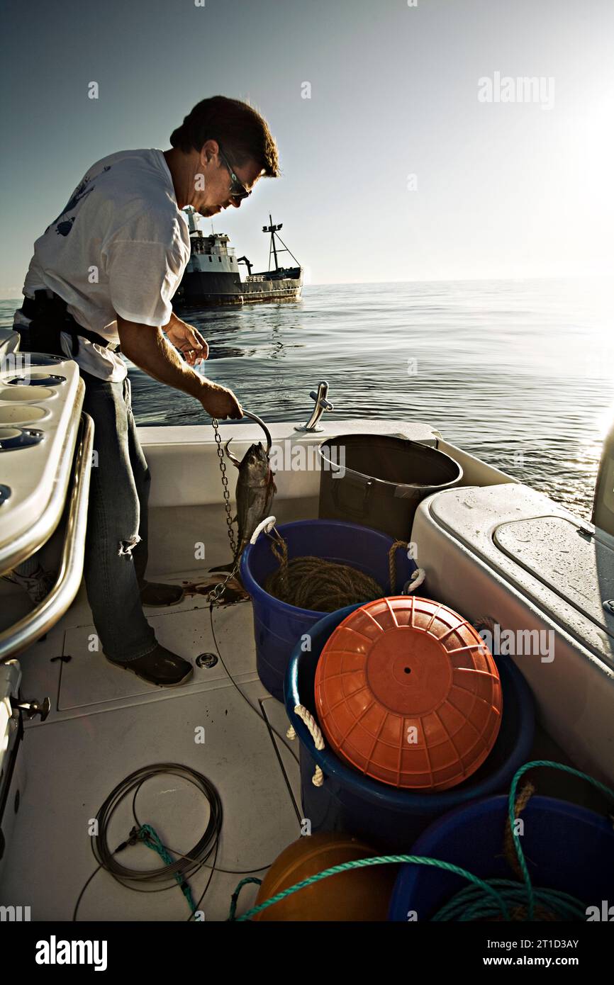 fisherman rigging shark bait with expedition vessel in background Stock ...