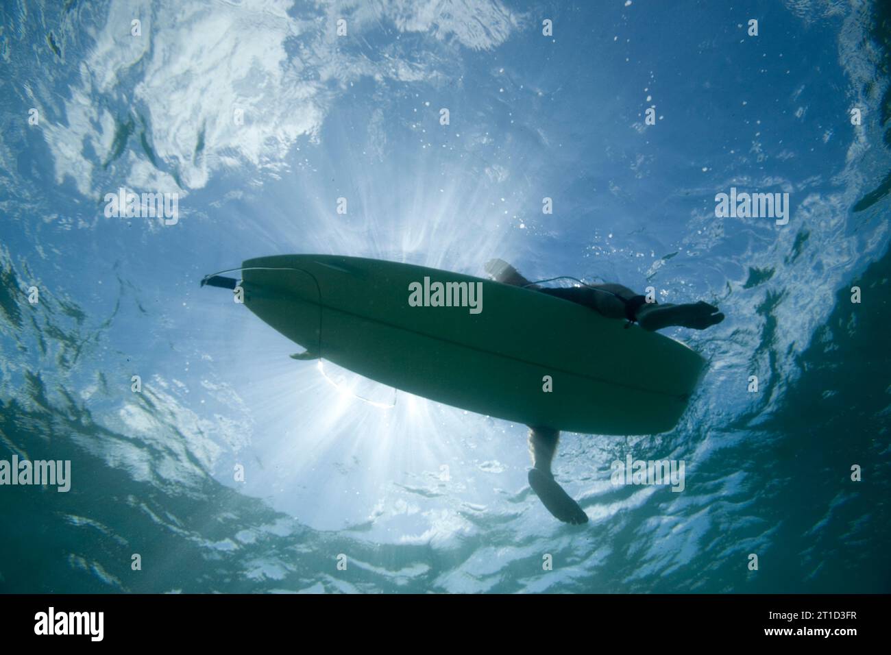 an underwater silhouette of a surfer sitting on his surfboard Stock ...