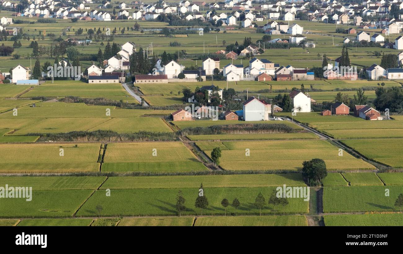 Aerial photo shows the large paddy fields in Fengli Town, Rudong County ...