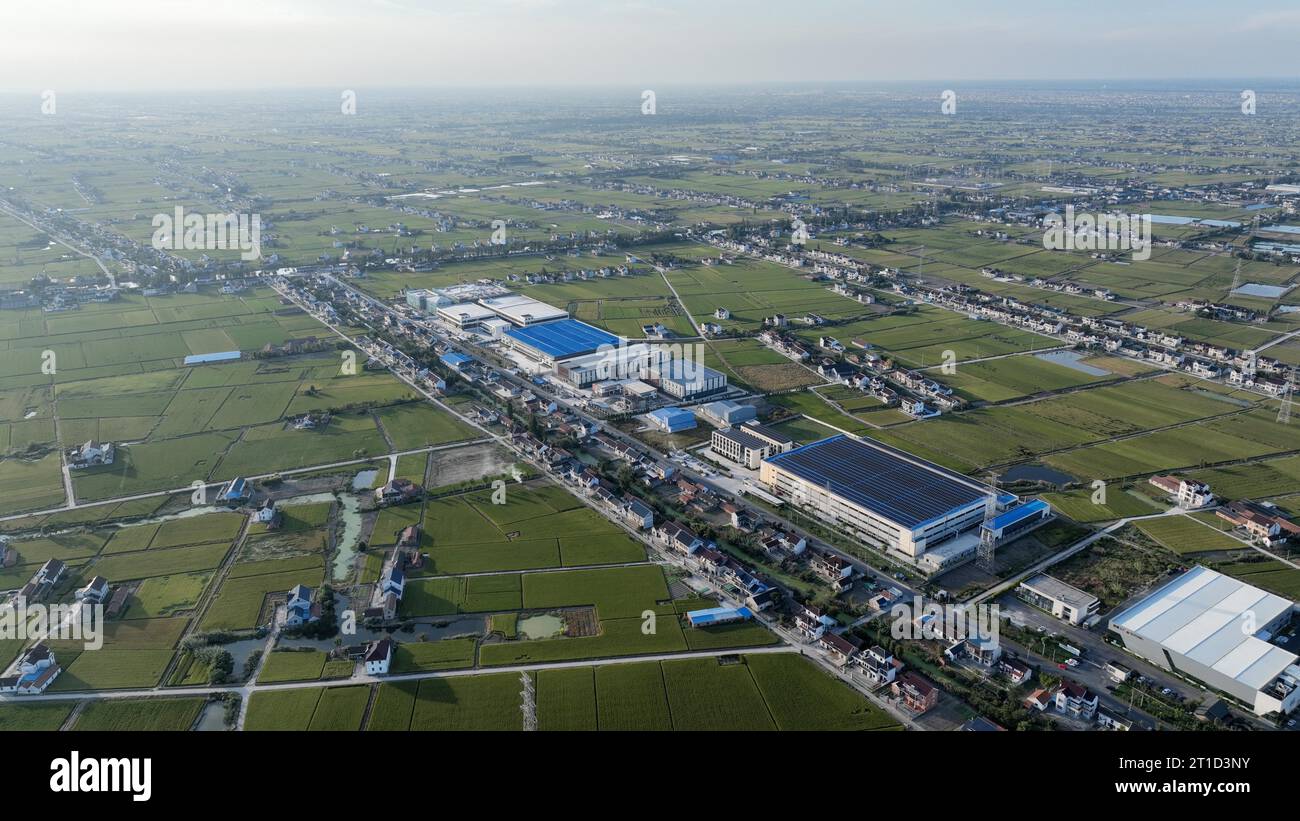 Aerial photo shows the large paddy fields in Fengli Town, Rudong County ...