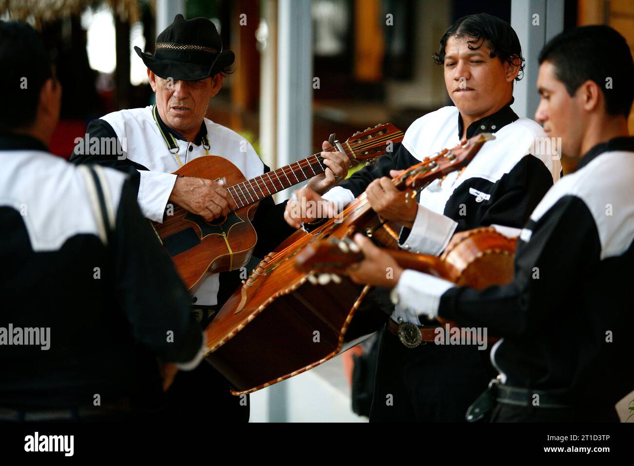 Costa Rican Musicians