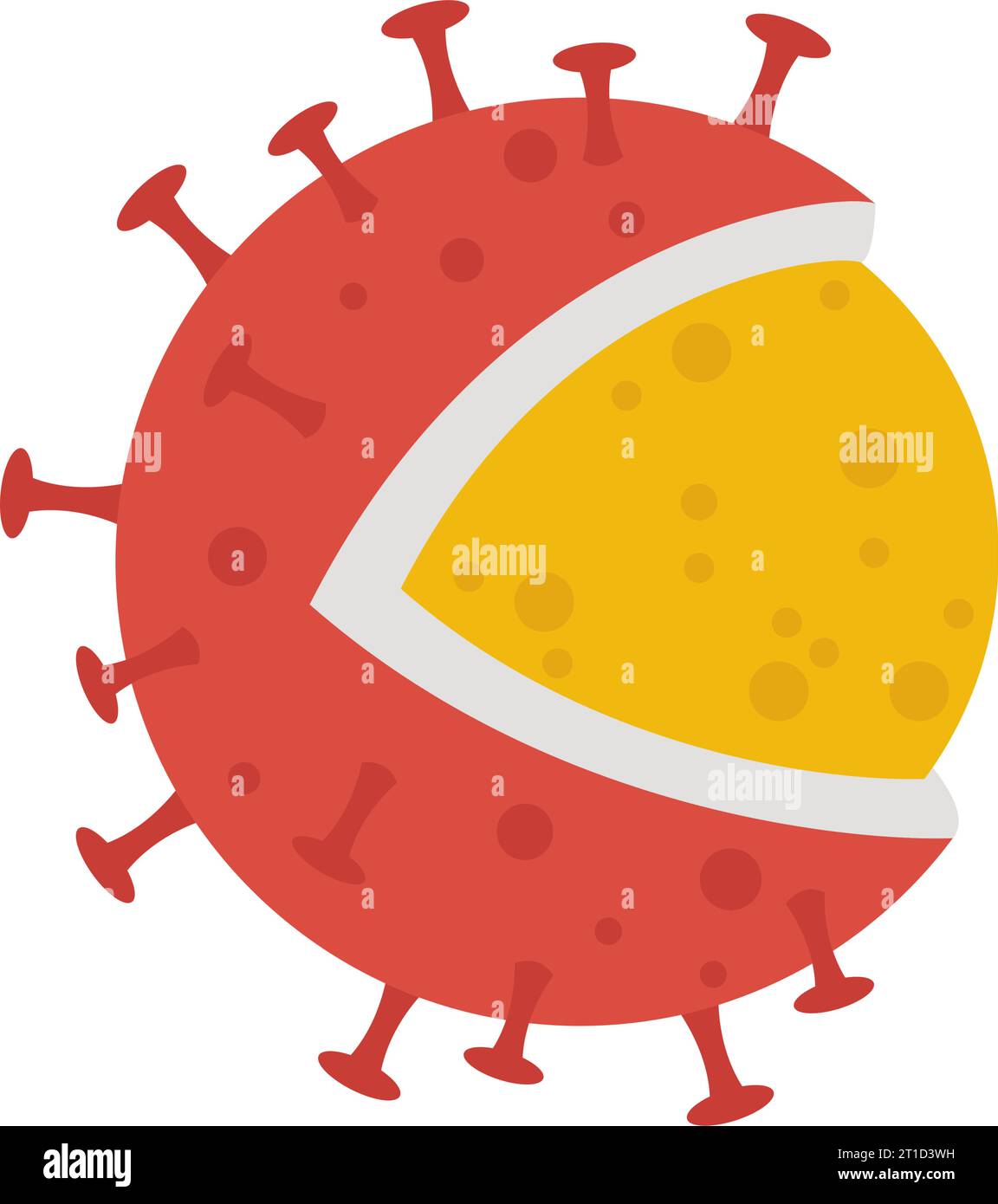 virus nipah illustration Stock Vector Image & Art - Alamy